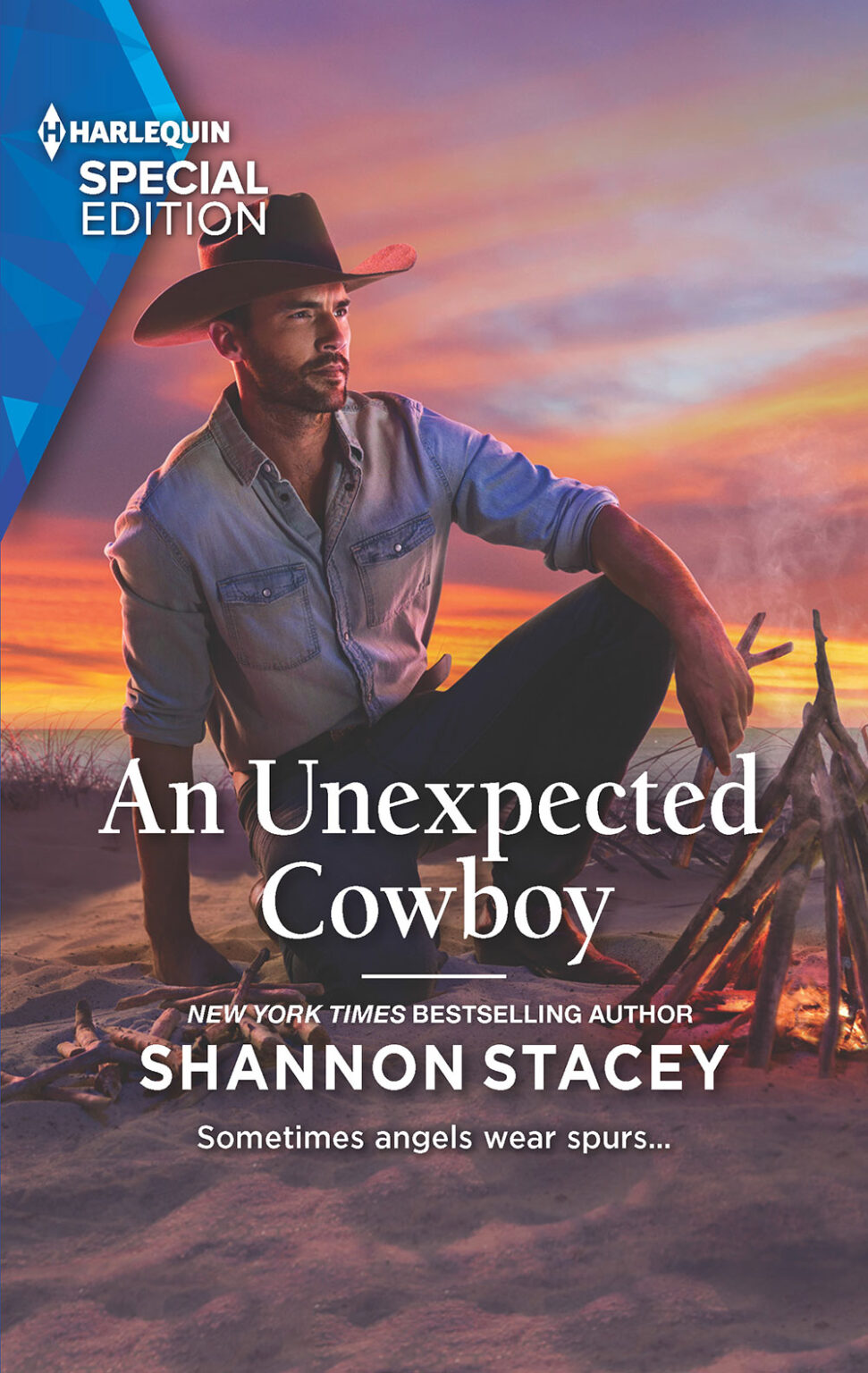 Books - Shannon Stacey