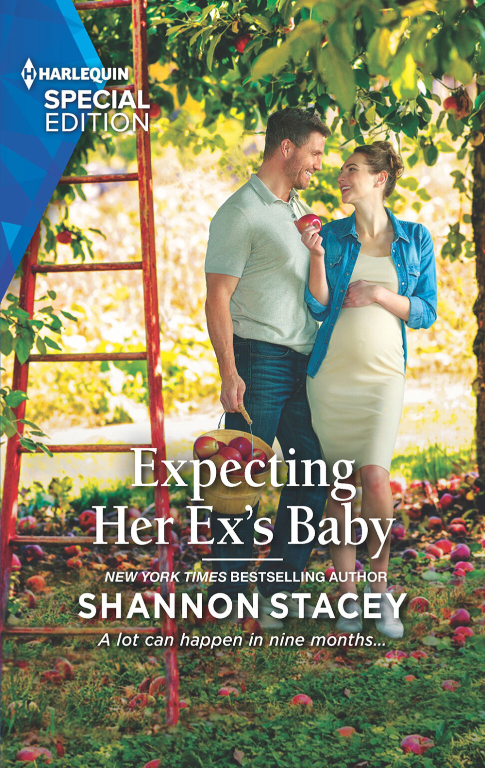 Books - Shannon Stacey